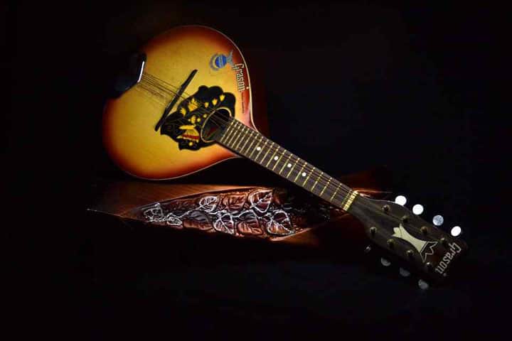 Top 25 Best High End Mandolins Reviews & Comparison Top 25 Best High End Mandolins Reviews & Comparison